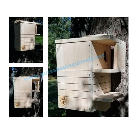 Squirrel Nesting Box Wildlife Rehab Approved Squirrel House Squirrel