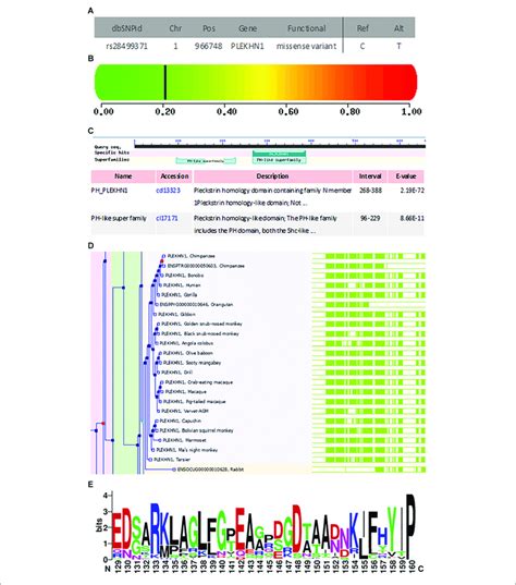 General Mutation Information Pathogenicity Prediction Structure Download Scientific Diagram