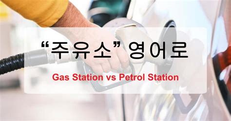 분류 영어로 뭐라고 할까 Classify부터 Categorize Sort까지 쉽게 배우기 잉글리시샘