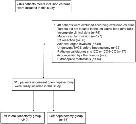 Flow Chart For Selecting Patients In The Lll Group And In The Lh Group Download Scientific
