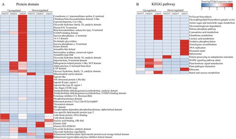 Functional Enrichment Based Clustering Of Deps A Protein Domain And