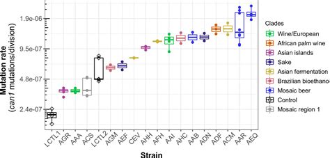 A Modified Fluctuation Assay Reveals A Natural Mutator Phenotype That Drives Mutation Spectrum