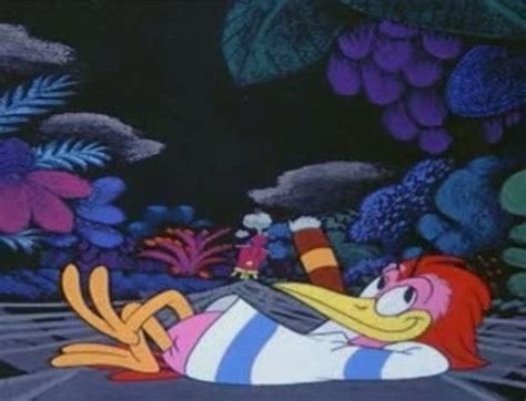 Name Aracuan Bird First Appeared 1944 Fun The Disney Character