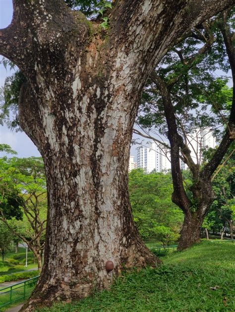 Environment Management Styl Solutions