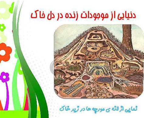 پاورپوینت آموزش علوم کلاس اول دبستان درس 9 زمین خانه‌ی خاکی ما گاما