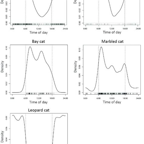 Temporal Activity Patterns Of Four Sympatric Bornean Felid Species As