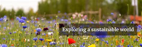 Wurlibrary Do You Sometimes Dread Carrying Out Your Thesis Project It All Becomes A Lot