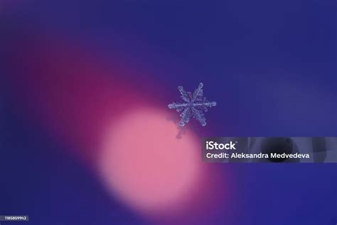 보케의 분홍색 공과 파란색 배경에 실제 눈송이 겨울 모든 것이 얼어 붙습니다 위에서 볼 수 있습니다 매크로 크리스마스 컨셉 12월에 대한 스톡 사진 및 기타 이미지 Istock