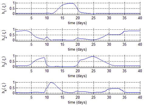 The Local Model Validity Functions For The Simulation Interval