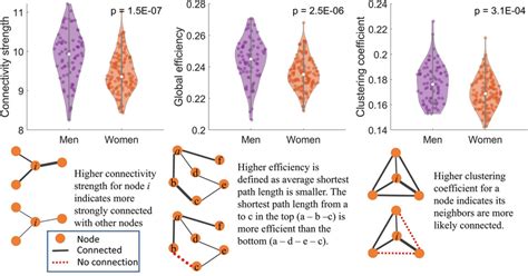 A Comparison Of Global Network Metrics Between Women And Men With