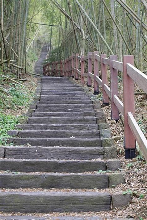嘉義出水坑步道走篤鼻山 健行筆記