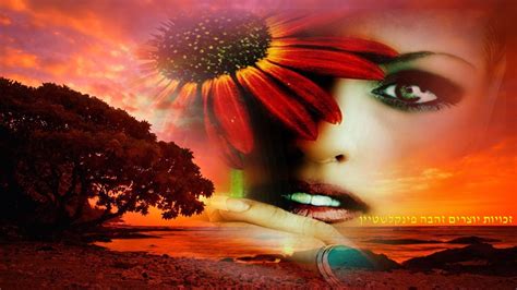 תמונות יפות ומרגשות מכל העולם