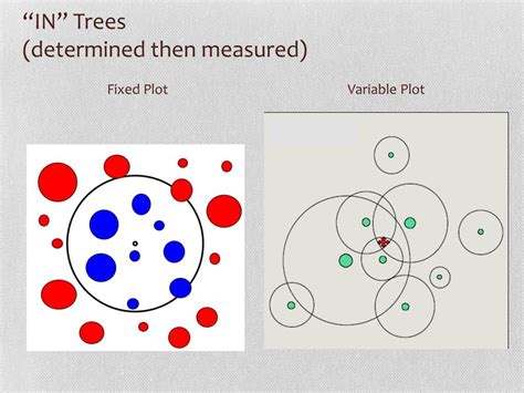 Ppt Point Sampling Or Variable Plot Cruising Powerpoint Presentation