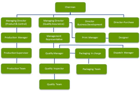 Management Structure