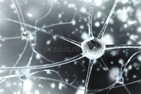 Neuron Neural Network Nerve Node Stock Image Image Of Signal