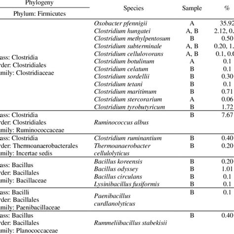 Cellulolytic Bacteria Identified In Digestate Samples Of Untreated And Download Scientific