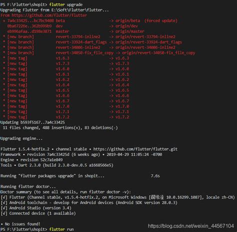 Flutter 踩坑之旅 （四）插件urllauncher报错flutter Urllauncher 无法打开网页 Csdn博客