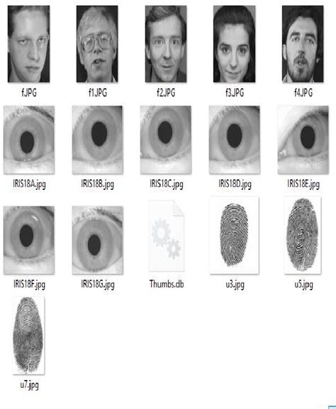 figure 3 1 from disposable feature templates using biometric systems