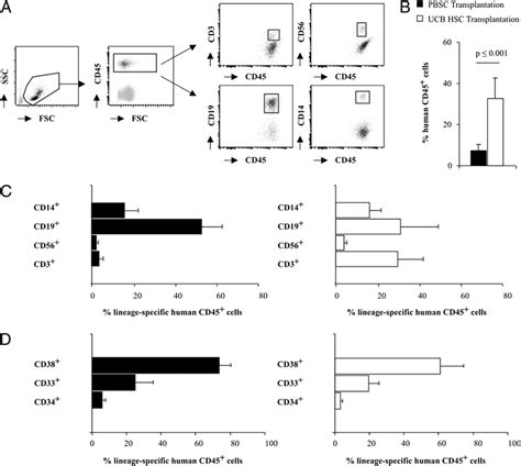 Transplantation Of Cd34 Pbscs Into Nsg Mice Results In Efficient