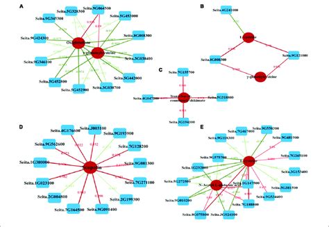Coexpression Analysis Of Degs And Dems Based On Pearsons Download Scientific Diagram