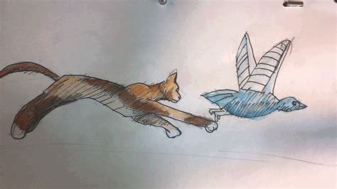 Cat Chasing A Bird Album On Imgur