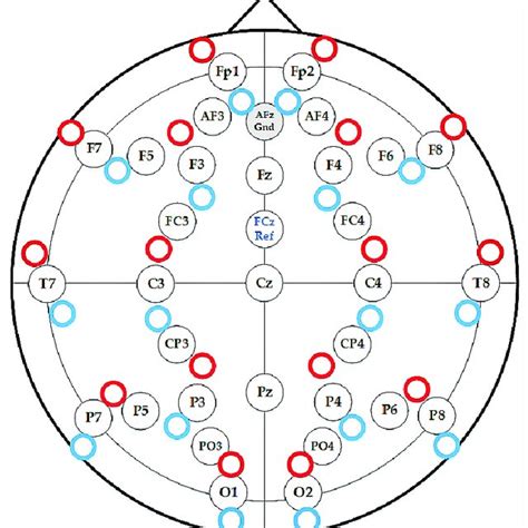 Customised Head Cap For Simultaneous Eeg Fnirs Measurement Download Scientific Diagram