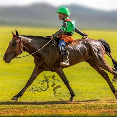 Бүр холын мөрөөдөл минь байгаарай💜 Морьтны Заяа