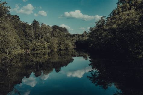 경치 구름 나무 바탕화면 반사 숲 자연 호수에 관한 무료 스톡 사진