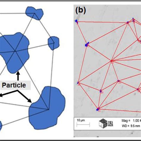 A Schematic Diagram Of The Neighbors Particle Distance B Average Download Scientific