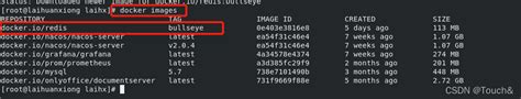Docker 安装 Redis 容器 完整详细版docker Redis Csdn博客