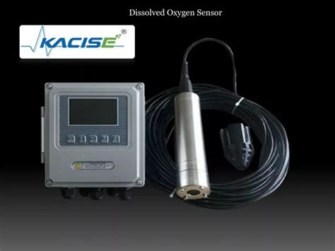 Ppt Dissolved Oxygen Sensor Powerpoint Presentation Free Download Ppt Dissolved Oxygen Sensor Powerpoint Presentation Free Download