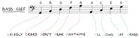 How To Read Bass How To Read Music On Bass Guitar Ultimate Guide