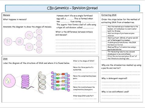 Cb3 Genetics Revision Spread Teaching Resources