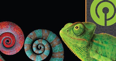 The Chameleon Effect Solidus