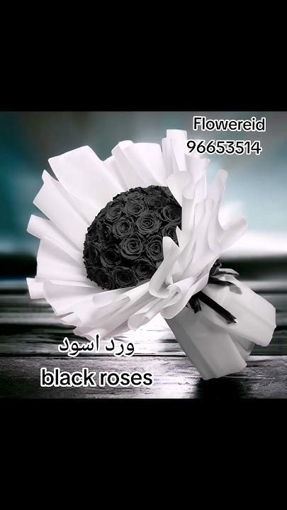 ورد اسود Youtube