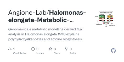 GitHub Angione Lab Halomonas Elongata Metabolic Modelling Genome Scale Metabolic Modelling