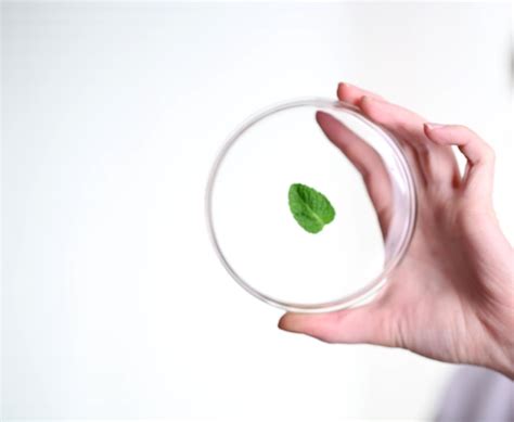 Premium Photo Woman Examining Green Leaf In Laboratory Close Up
