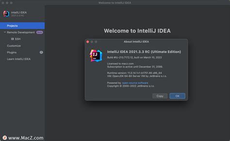 java开发工具：intellij idea 2021 mac汉化版 哔哩哔哩