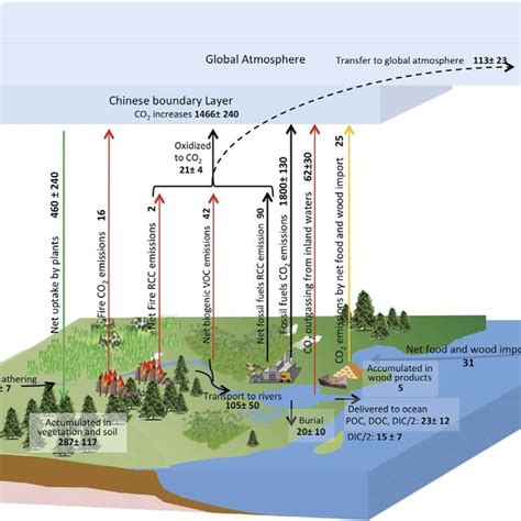 Carbon Budgets Of Chinas Terrestrial Ecosystems From 2006 To 2009 Download Scientific Diagram