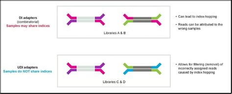 Ngs Adapters In Ligation Based Library Prep Workflows Biocompare The Buyers Guide For Life
