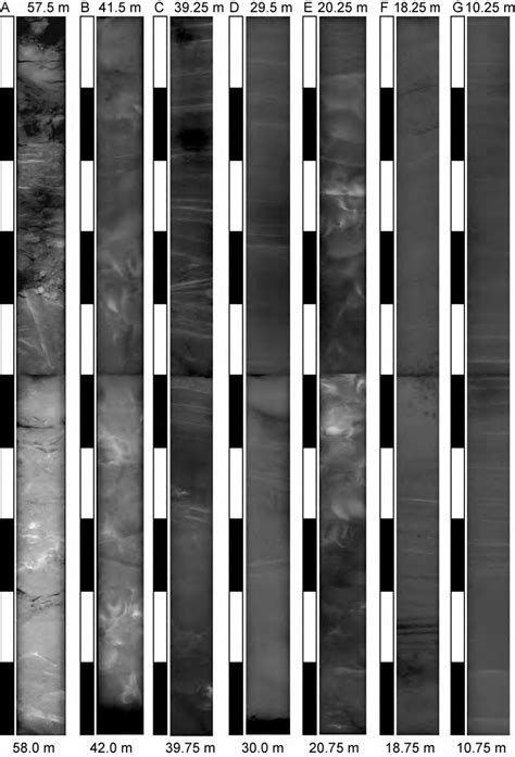 Scale Bar Architecture