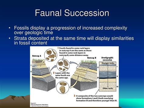 Faunal Succession