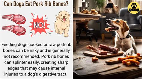 Can Dogs Eat Pork Rib Bones No Health Risks Explained