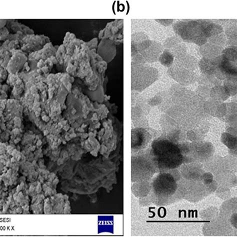 SEM And TEM Analyses Of ZnONPs NC A SEM Microscopic Image Shows The Download Scientific