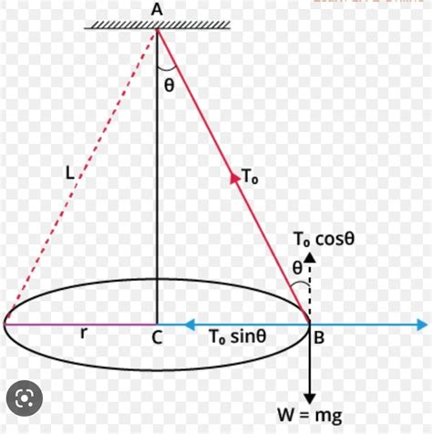 What Does Conical Pendulum Mean At Ryan Hannum Blog