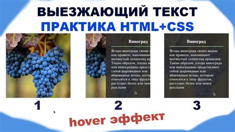 Выезжающий текст при наведении Карточка с эффектом Hover Html и Css на практике верстка