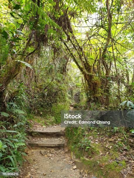 마운트 코타 키나발루 바위와 자연 배경으로 하이킹 트레일 0명에 대한 스톡 사진 및 기타 이미지 0명 경관 구름 Istock