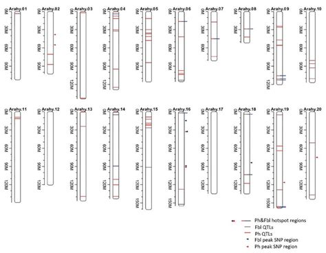 Quantitative Trait Loci Qtls Identified To Be Associated With Ph