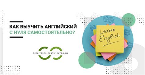 Как выучить английский с нуля самостоятельно Tefl Tesol Certificate