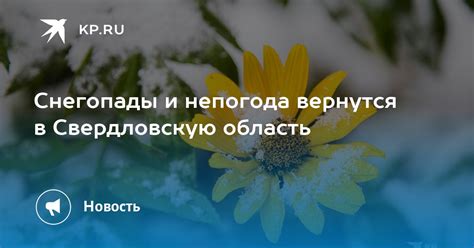Снегопады и непогода вернутся в Свердловскую область Kp Ru